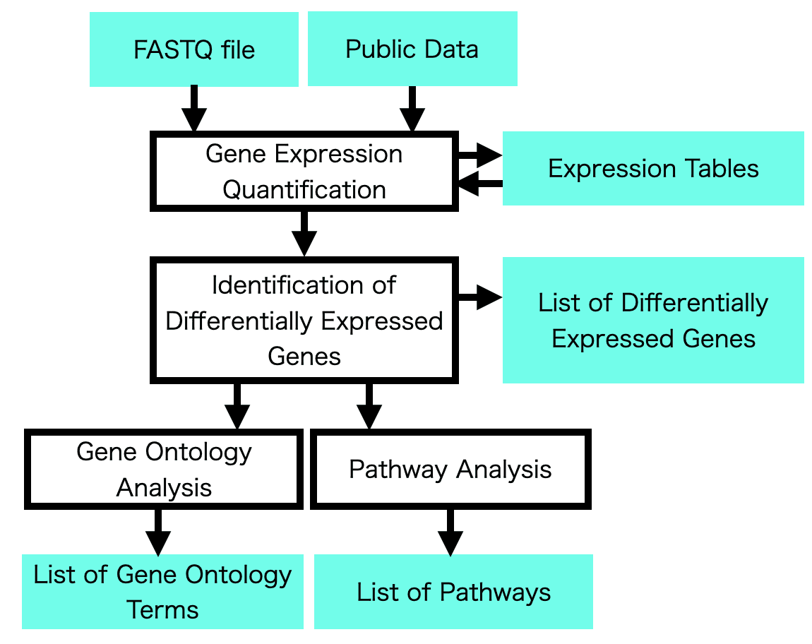 RNA-Seq Data Analysis Software | OlvTools