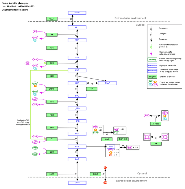 Pathway Enrichment Analysis: KEGG & WikiPathways for RNA-Seq
