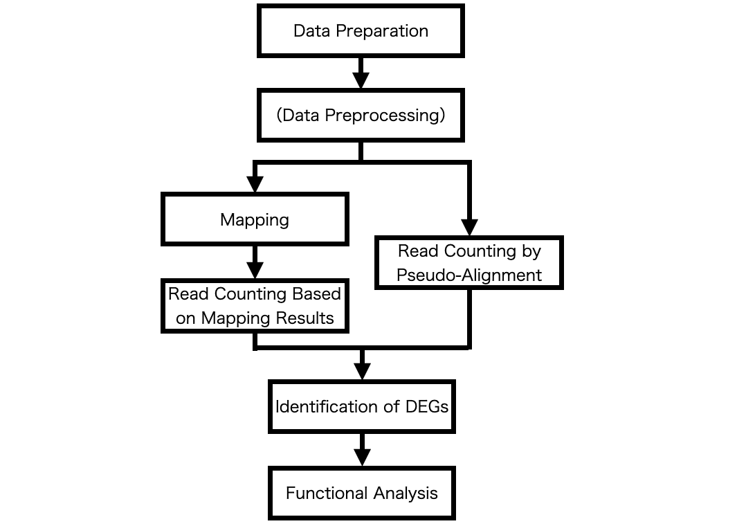 RNA-Seq Data Analysis Workflow: A Step-by-Step Guide