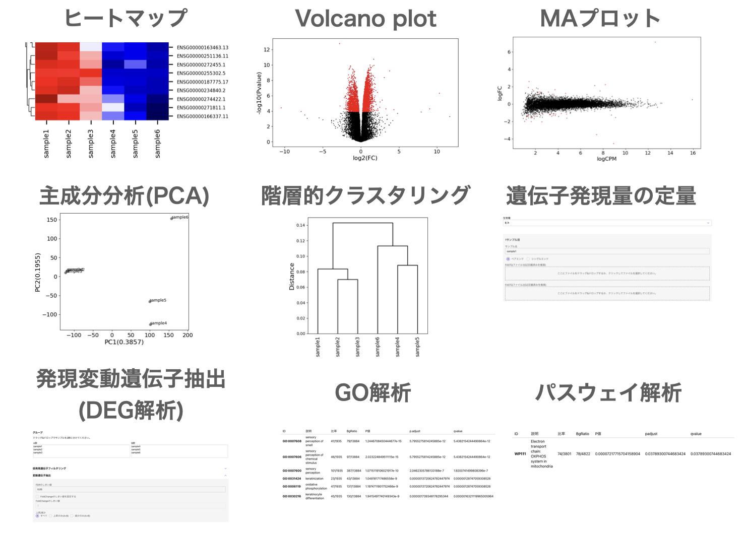 【TPM】RNA-Seq解析における遺伝子発現量の補正方法